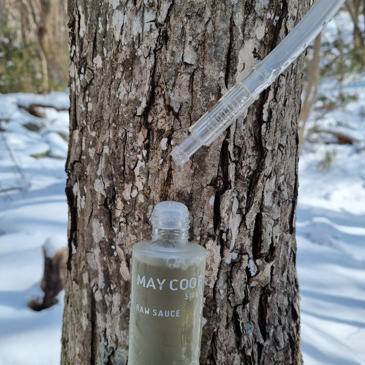 Embrace Nature's Secret: The Wonders of Maple Sap in Skincare